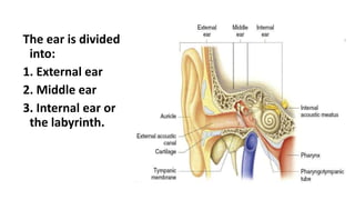 ANATOMY OF EAR.pptx