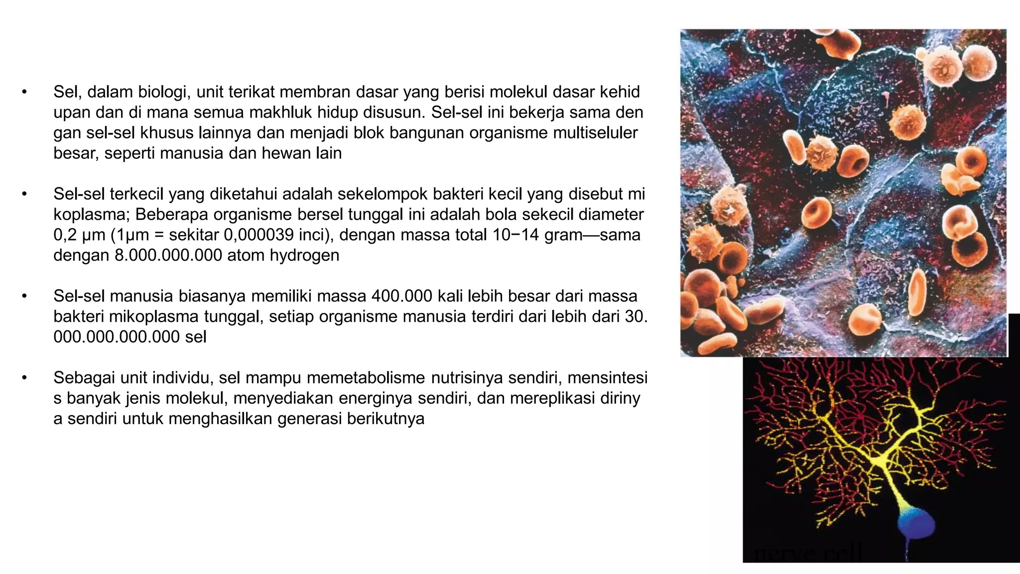 1. PENGANTAR BIOLOGI SEL.pdf