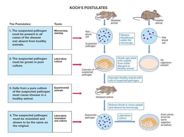 1.-Microbiology-subject-objects-history-methods.pdf | Biological ...