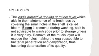 1. Tools, Utensils and Equipment in Preparing Egg.pptx