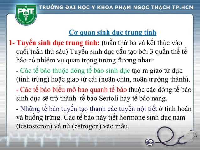Hệ sinh dục nữ | PPT