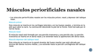 1.2 Macizo facial y músculos de las expresiones faciales..pptx