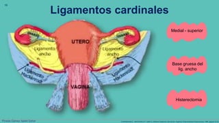 1.Anatomía del útero.pptx