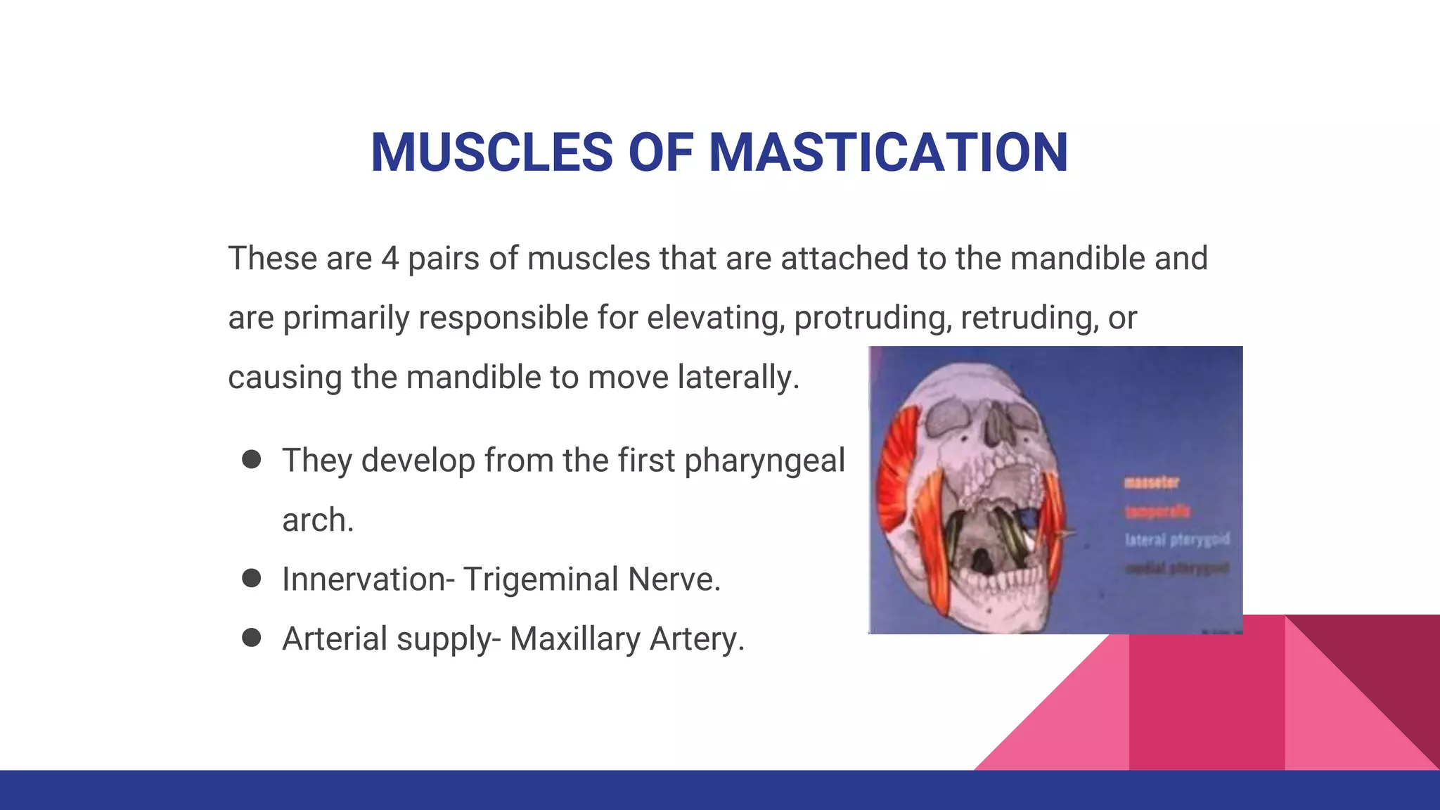 1. Mastication and Deglutition.pptx