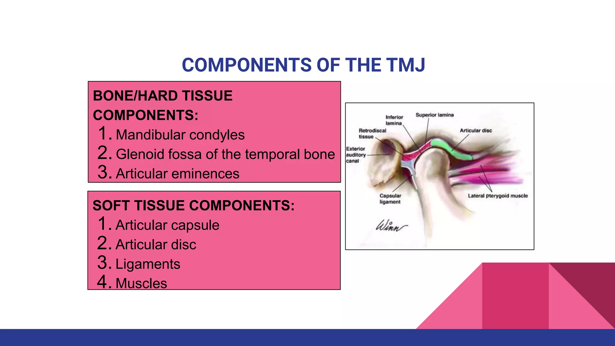 1. Mastication and Deglutition.pptx