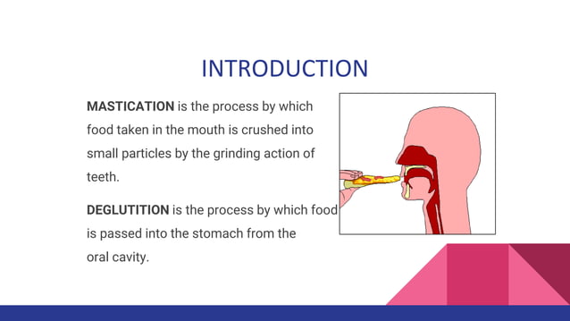 1. Mastication and Deglutition.pptx | Dental Health | Diseases and ...