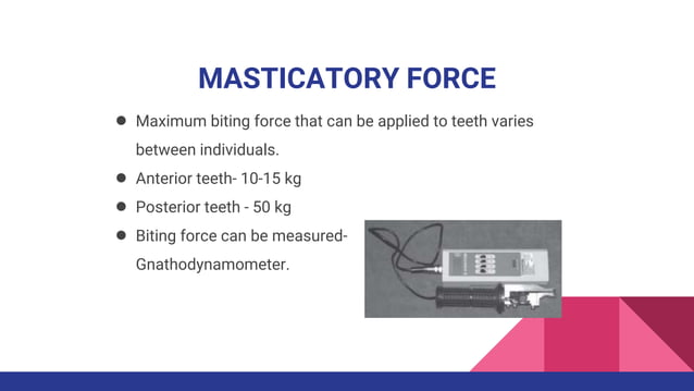 1. Mastication and Deglutition.pptx | Dental Health | Diseases and ...