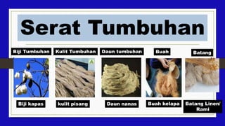 JENIS-JENIS SERAT PADA BAHAN ALAT TANGKAP IKAN.pptx