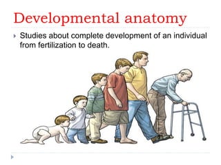 1. introduction to anatomy and physiology.pptx