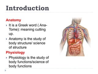 1. introduction to anatomy and physiology.pptx