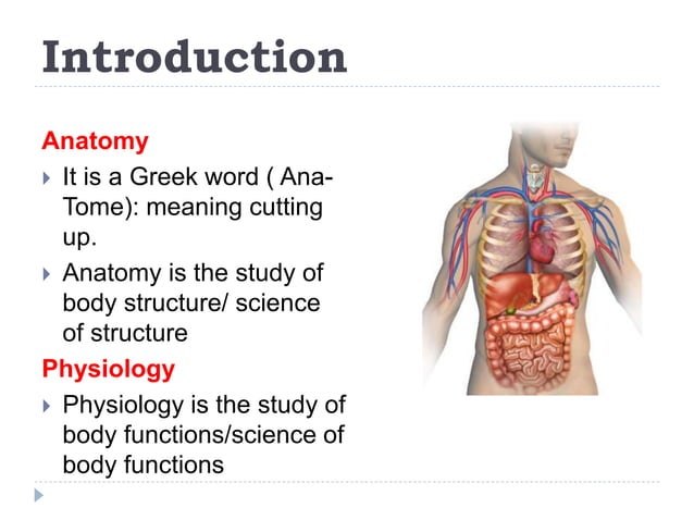 1. introduction to anatomy and physiology.pptx