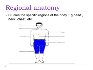 1. introduction to anatomy and physiology.pptx