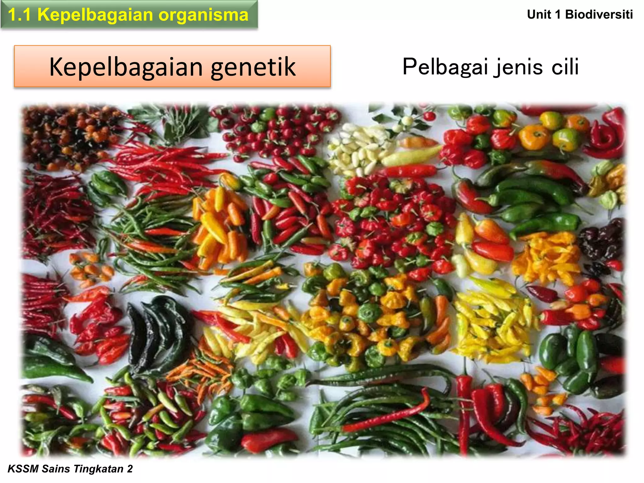 1.1Kepelbagaian organisma.pptx