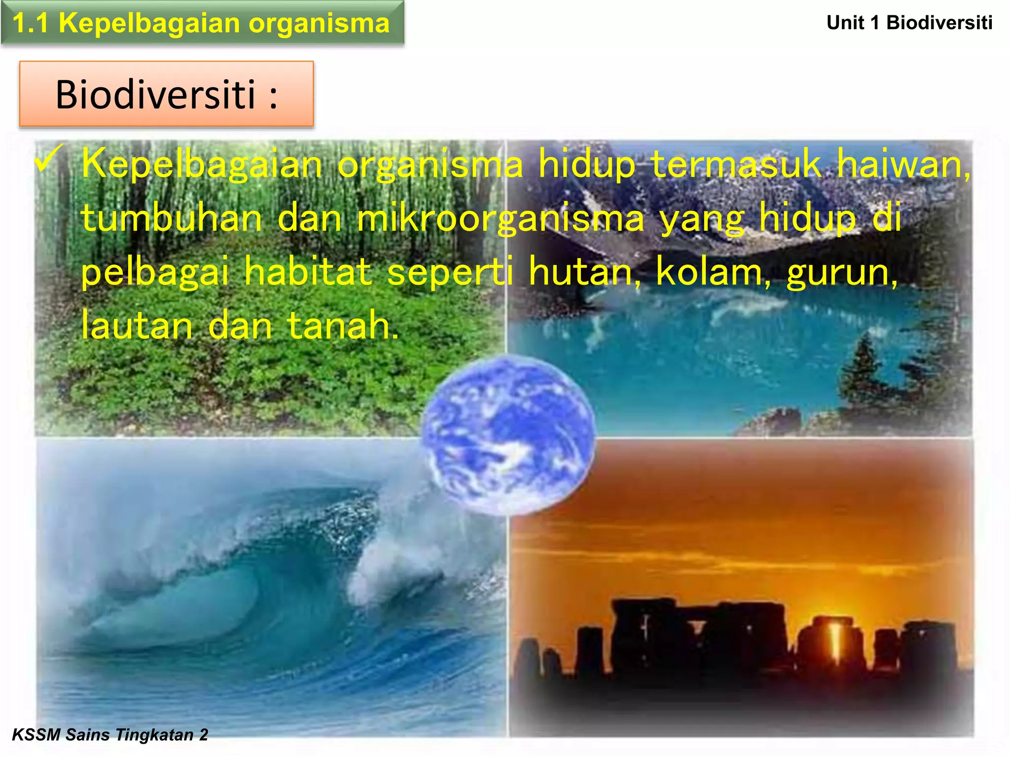 1.1Kepelbagaian organisma.pptx