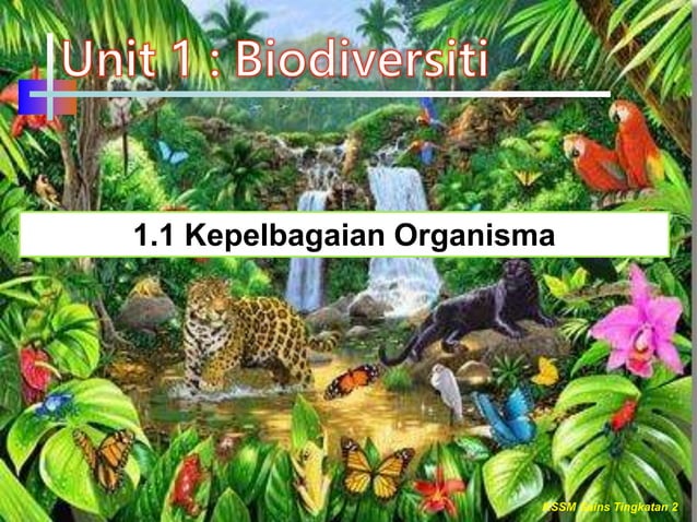 1.1Kepelbagaian organisma.pptx
