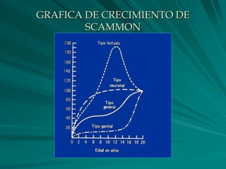 1.CRECIMIENTO Y DESARROLLO. Conceptos.ppt