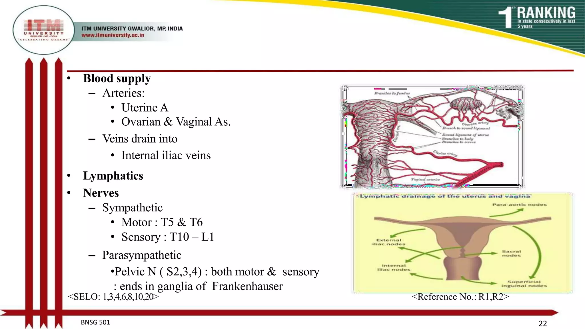 1.Uterus and Fallopian Tube.pptx