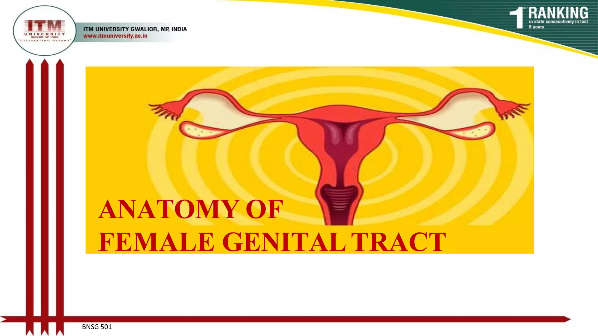 1.Uterus and Fallopian Tube.pptx