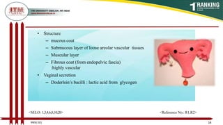 1.Uterus and Fallopian Tube.pptx