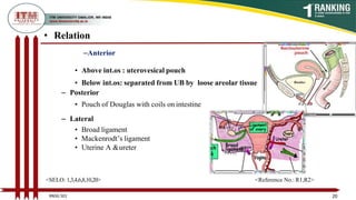 1.Uterus and Fallopian Tube.pptx