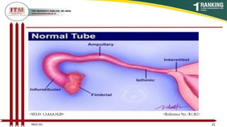 1.Uterus and Fallopian Tube.pptx