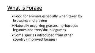 1.FORAGE AND PASTURE.pptx