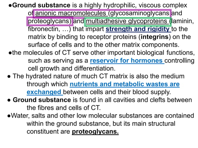 1 Ct Ppt For Class 1 Pptx