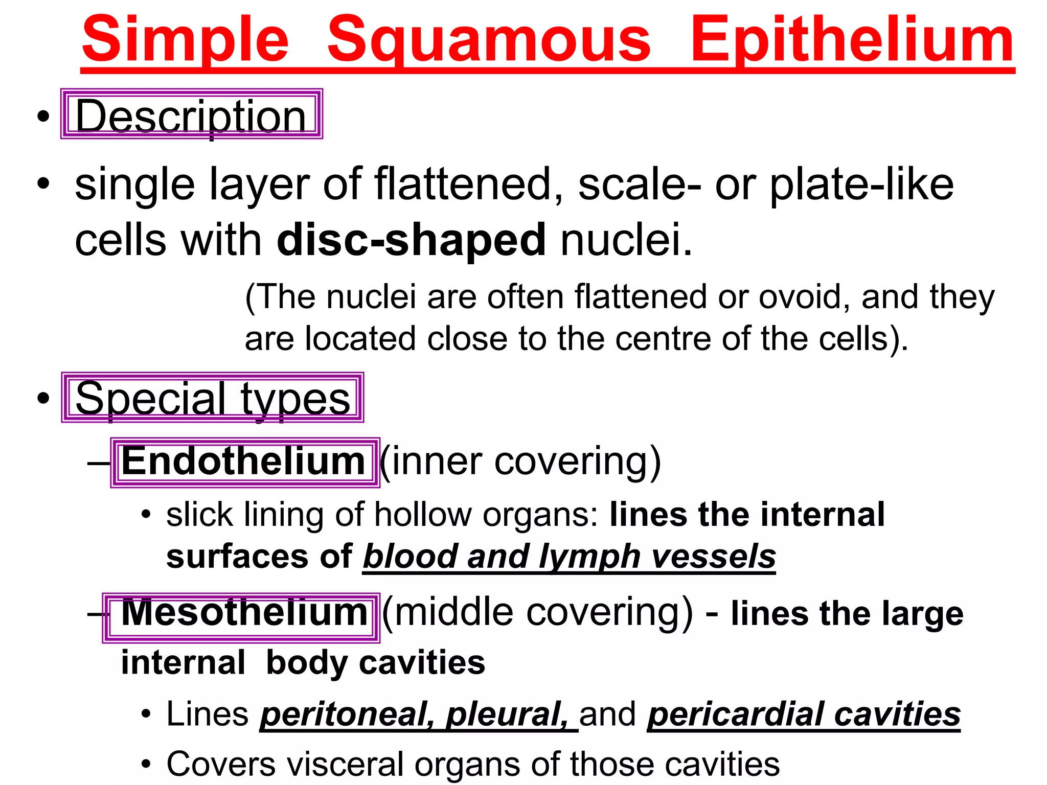 1.EPITHELIAL TISSUE (1).pptx