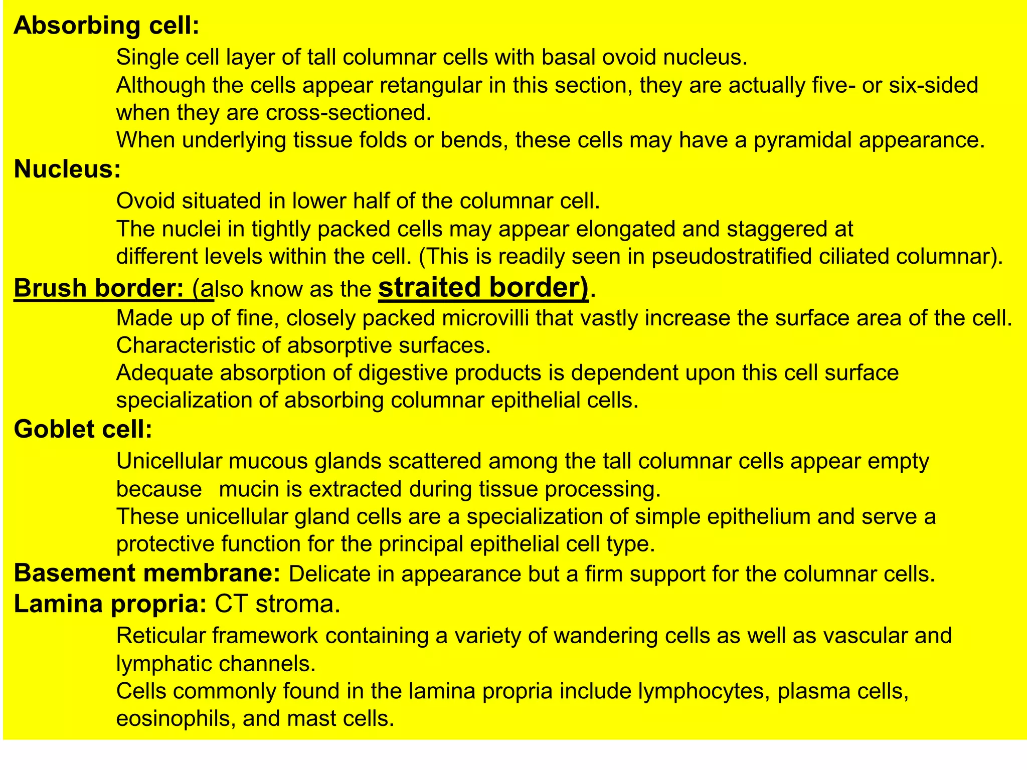 1.EPITHELIAL TISSUE (1).pptx