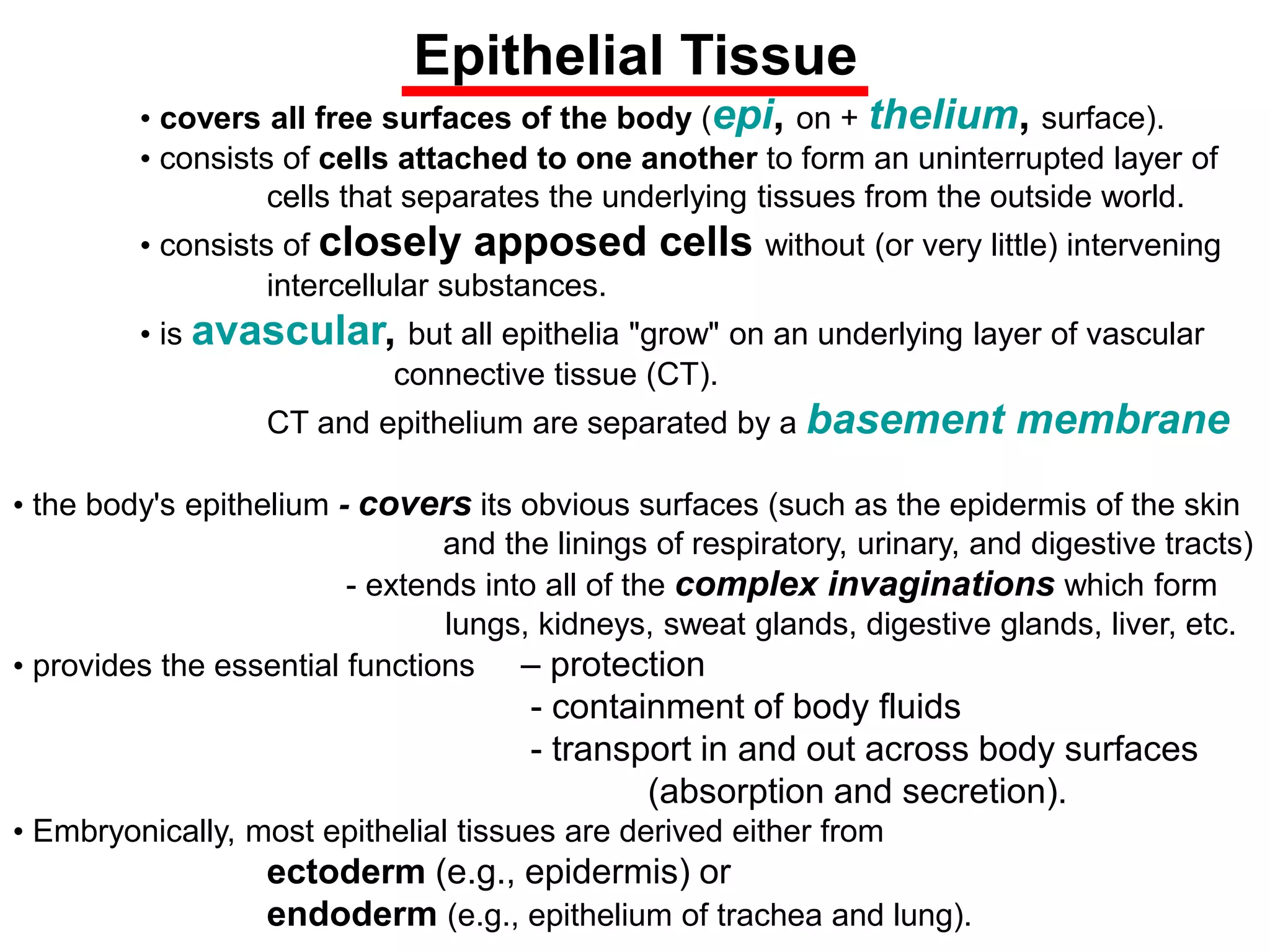 1.EPITHELIAL TISSUE (1).pptx