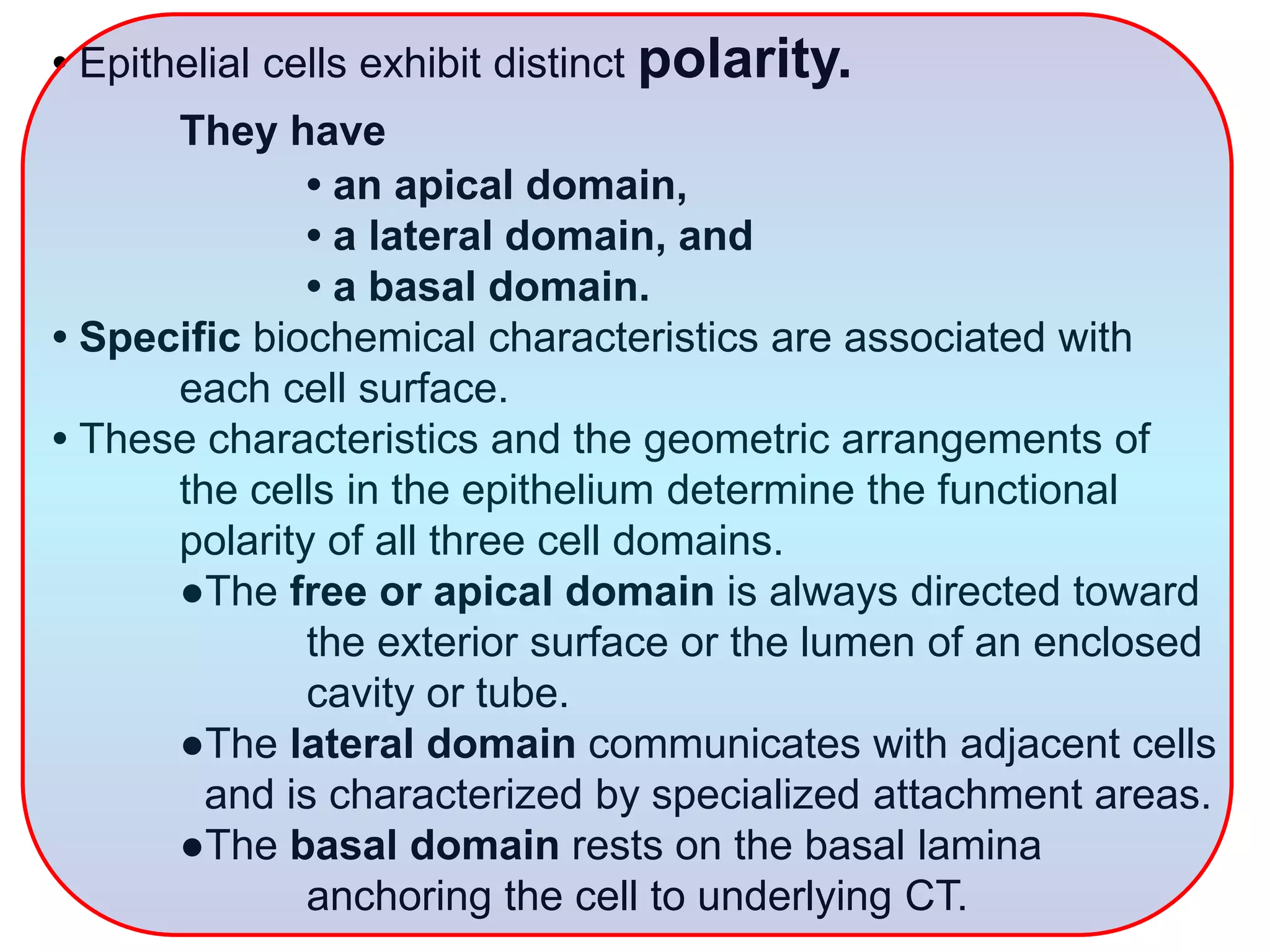 1.EPITHELIAL TISSUE (1).pptx
