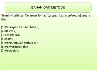 Persilangan Tomat.ppt