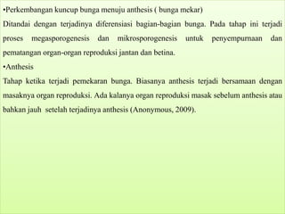 Persilangan Tomat.ppt