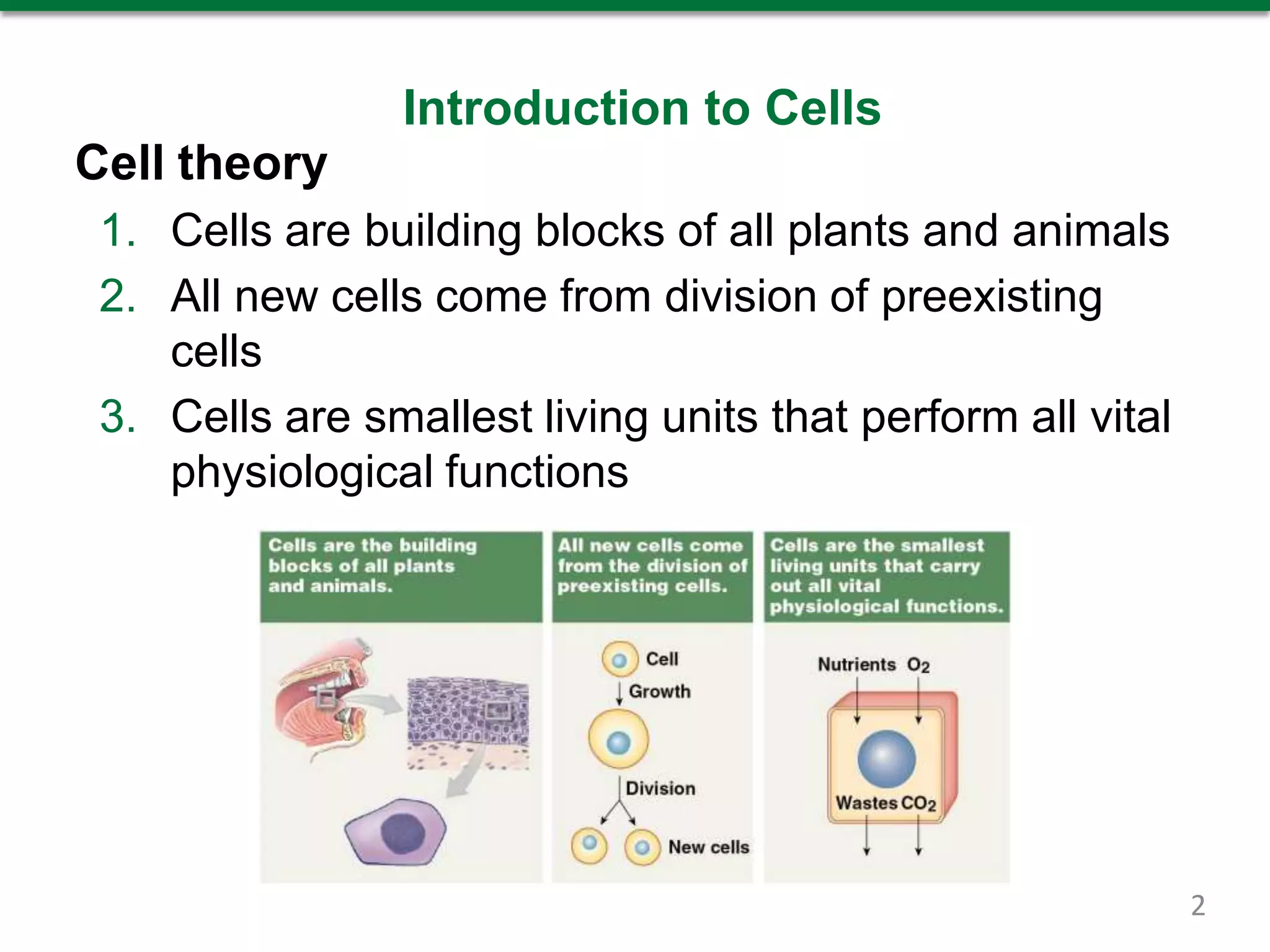 1.2 cellular level of Organisation.pptx