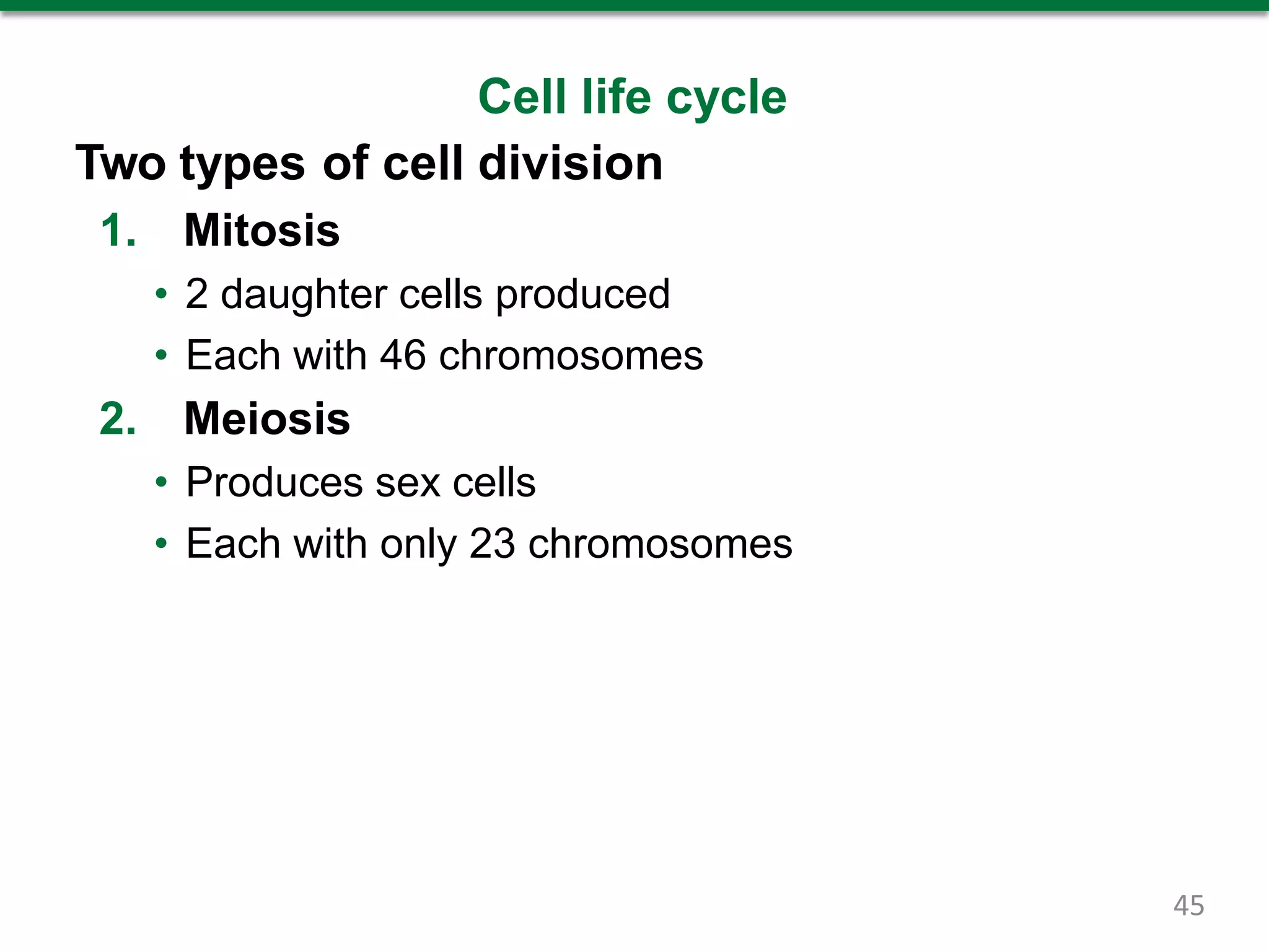 1.2 cellular level of Organisation.pptx