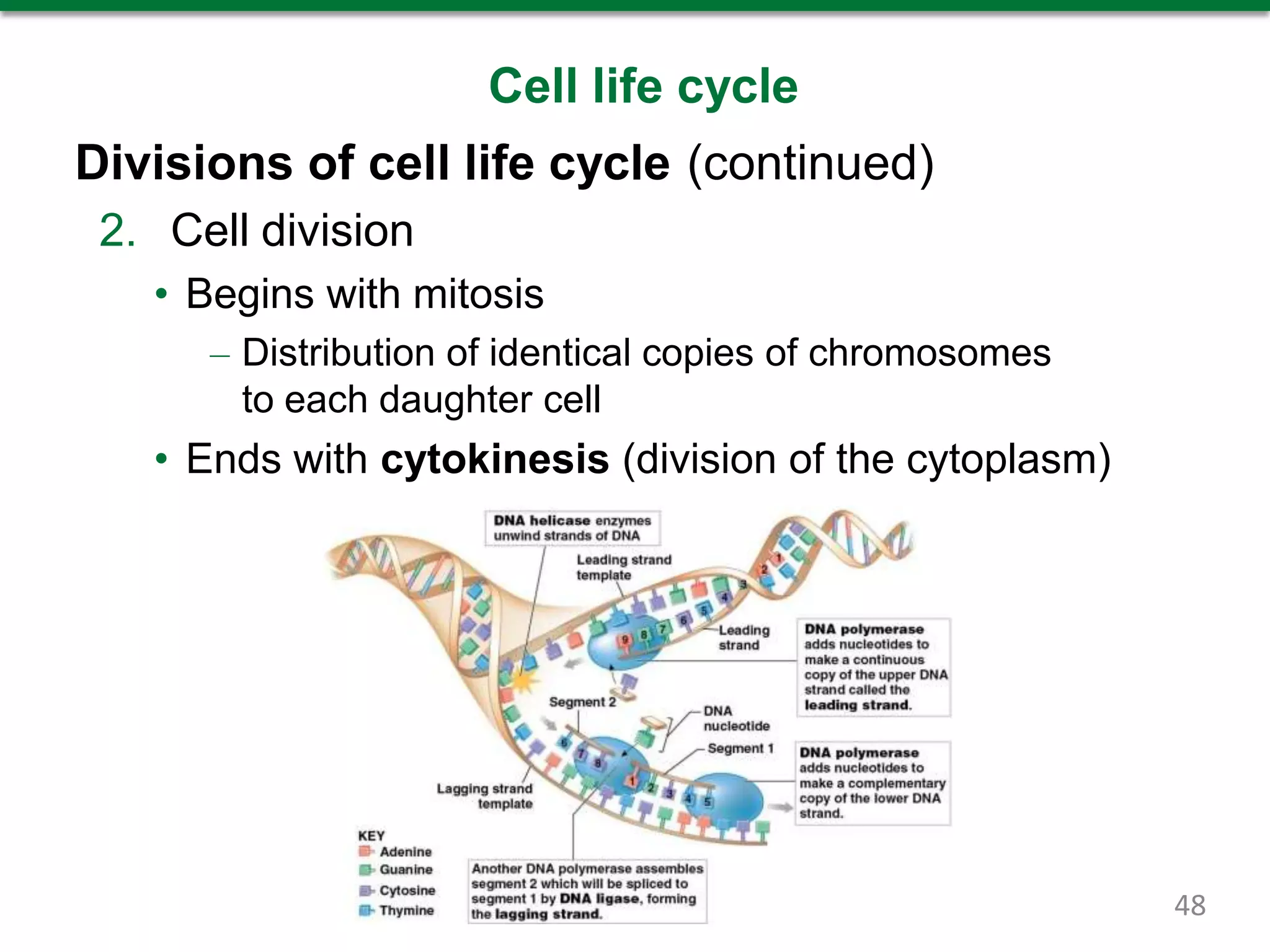 1.2 cellular level of Organisation.pptx
