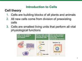 1.2 cellular level of Organisation.pptx