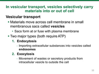 1.2 cellular level of Organisation.pptx