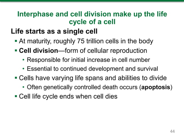 1.2 cellular level of Organisation.pptx
