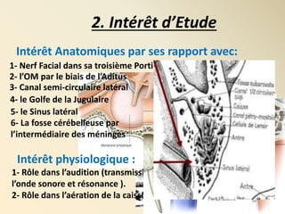 anatomie de la Mastoïde | PPT