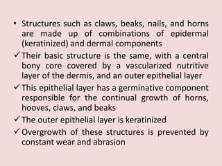 1. Protection, Support, and Movement.pptx