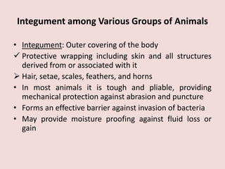1. Protection, Support, and Movement.pptx