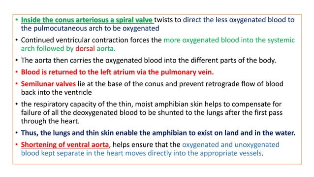 Comparative anatomy | PPT