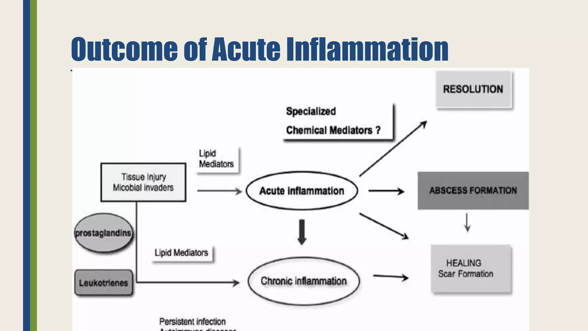 Inflammation & Healing.pptx