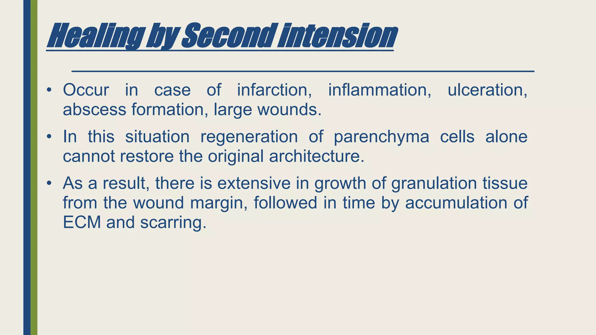 Inflammation & Healing.pptx