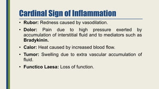 Inflammation & Healing.pptx