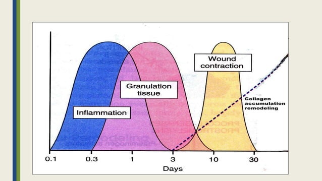 Inflammation & Healing.pptx