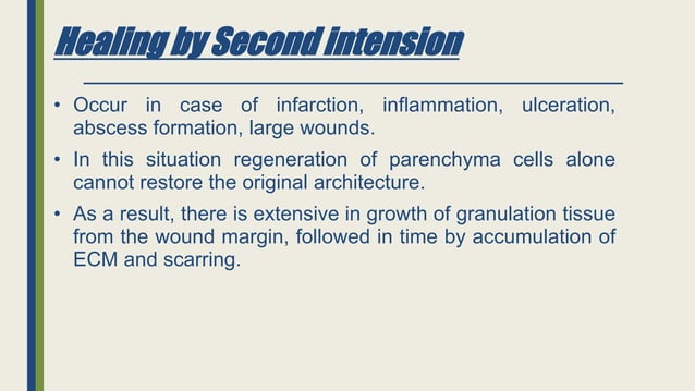 Inflammation & Healing.pptx