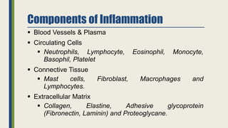 Inflammation & Healing.pptx