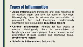 Inflammation & Healing.pptx